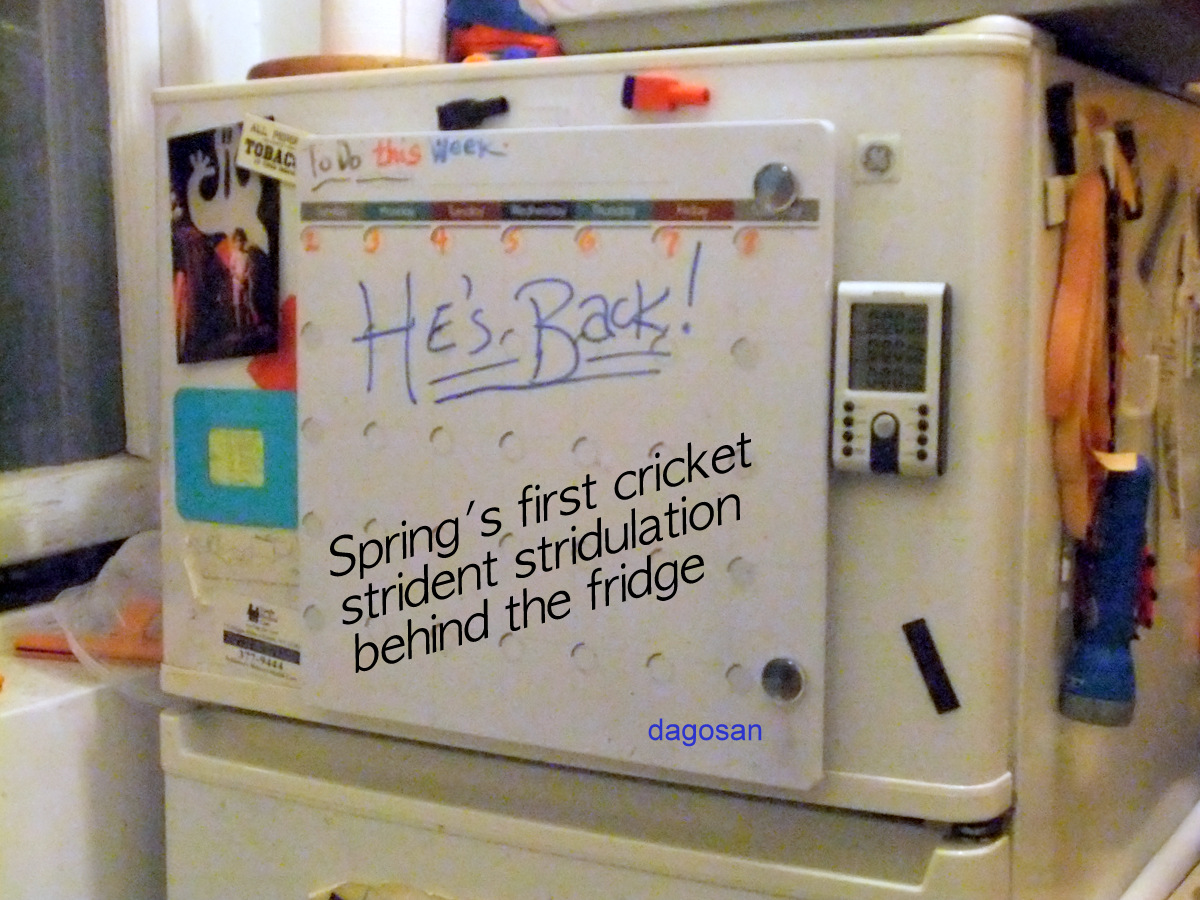 dagosan's haiku diary