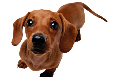 Cristiandlr's blog: Color Images to Bitonal (BinarizeBradley Algorithm)