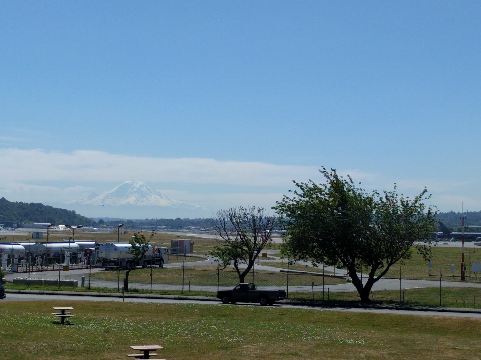 The Island of Phelps: Ruby Chow Park