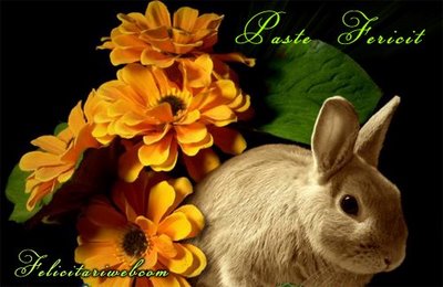 PASTE PEISAJE: Imagini de pasti