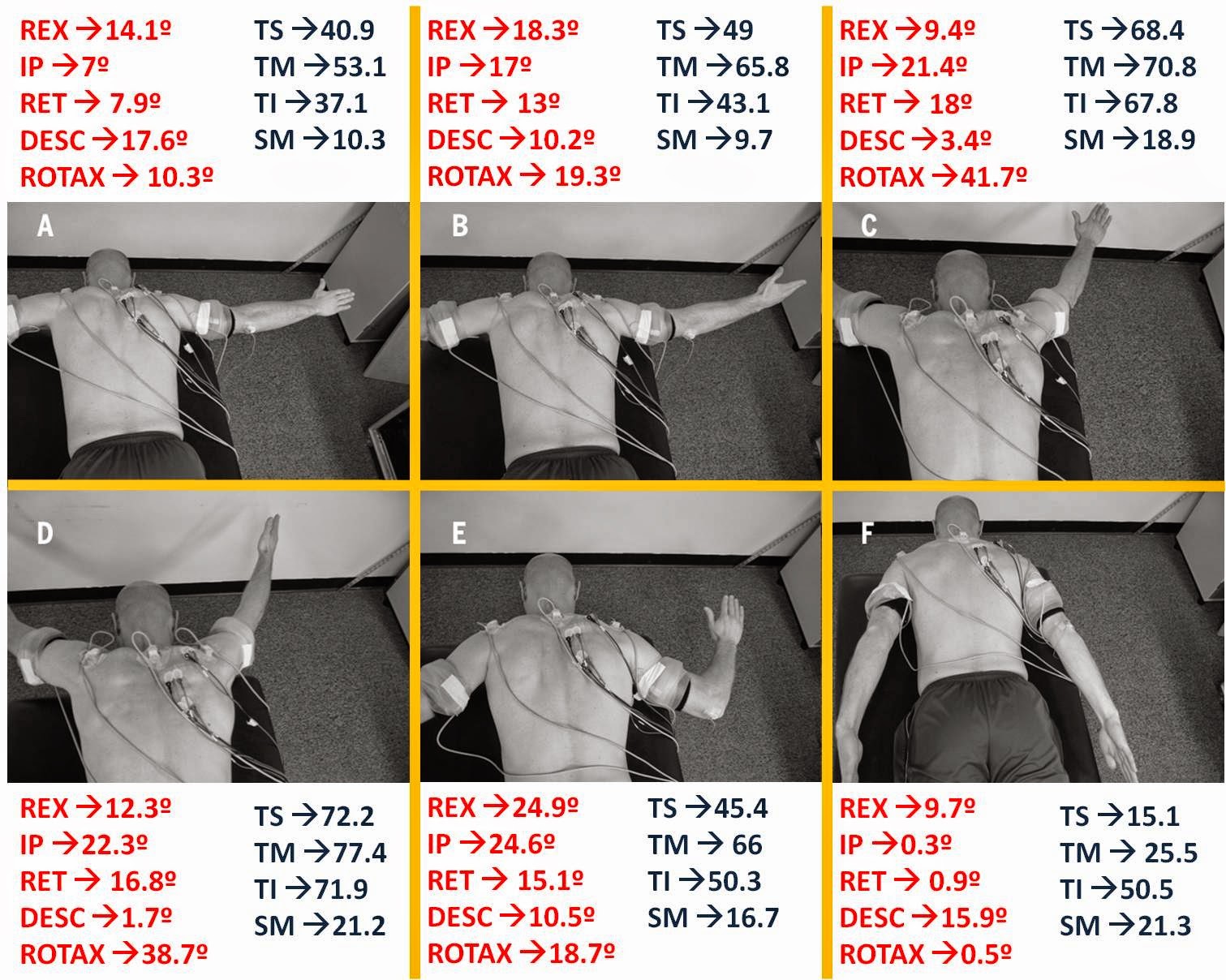 Valoración del movimiento y prescripción de ejercicio: Ejercicios ...