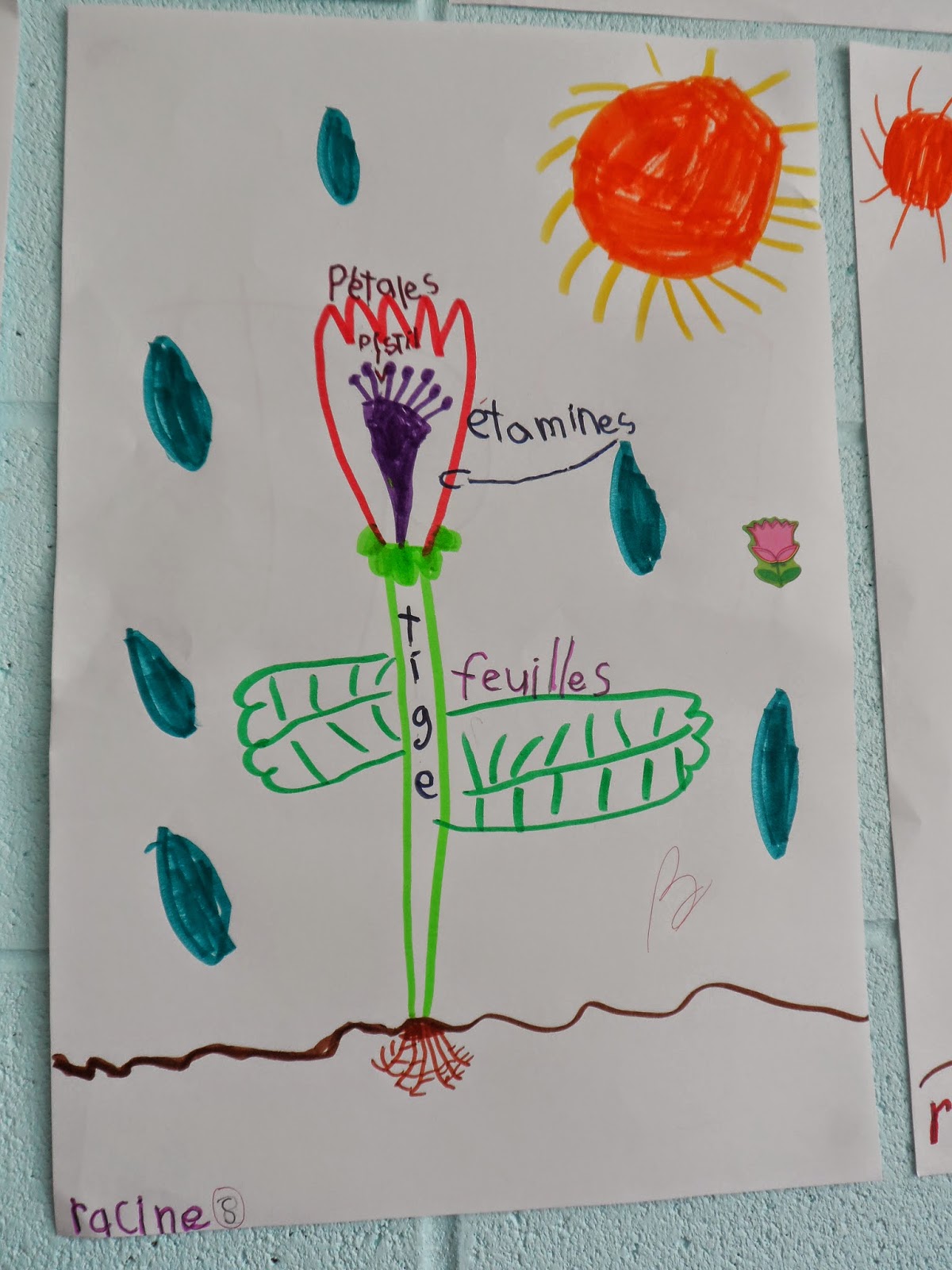 Sablière003: LES PARTIES DE LA FLEUR