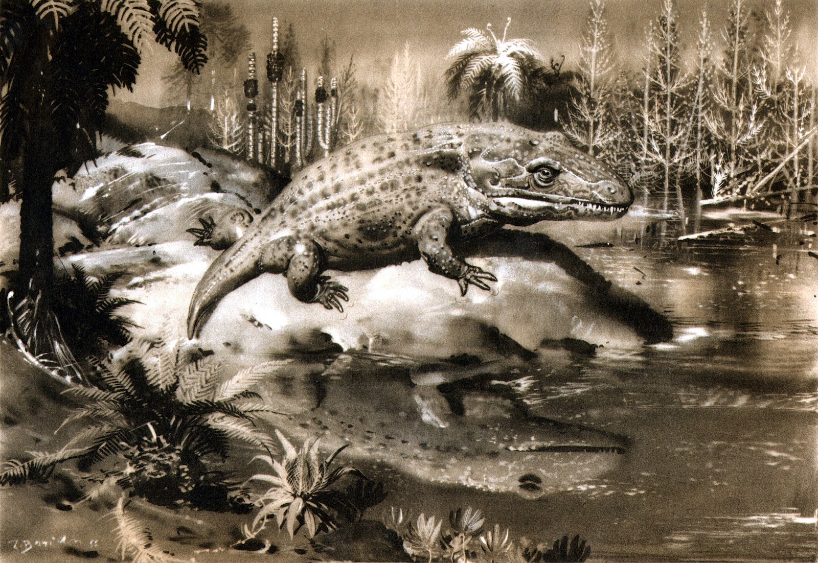 Zdeněk Burian: Mastodonsaurus