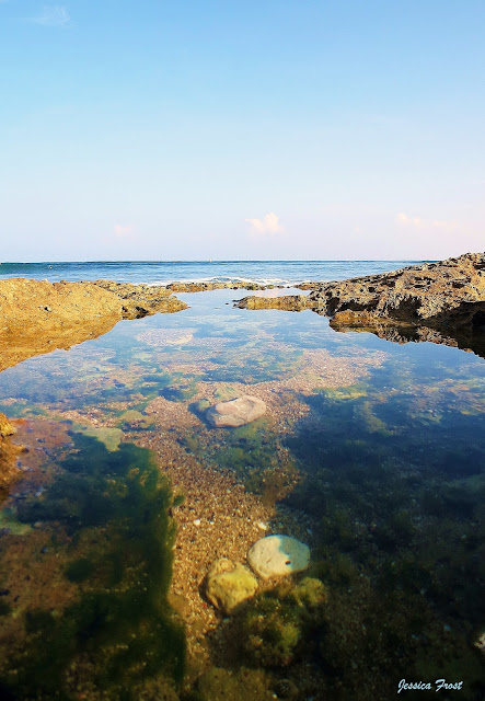 Jessica Frost: Puerto Rico: Tropical Scenery