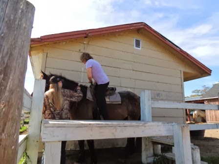 Teena in Toronto: Horseback riding at Broadleaf Ranch, NB