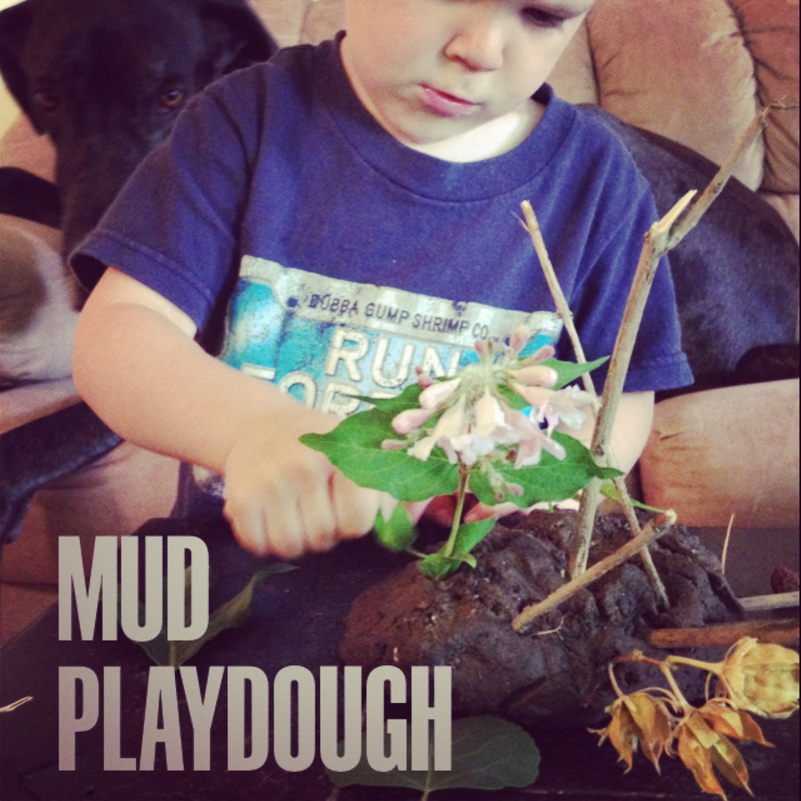 Between a dog and a hard place : Mud Playdough