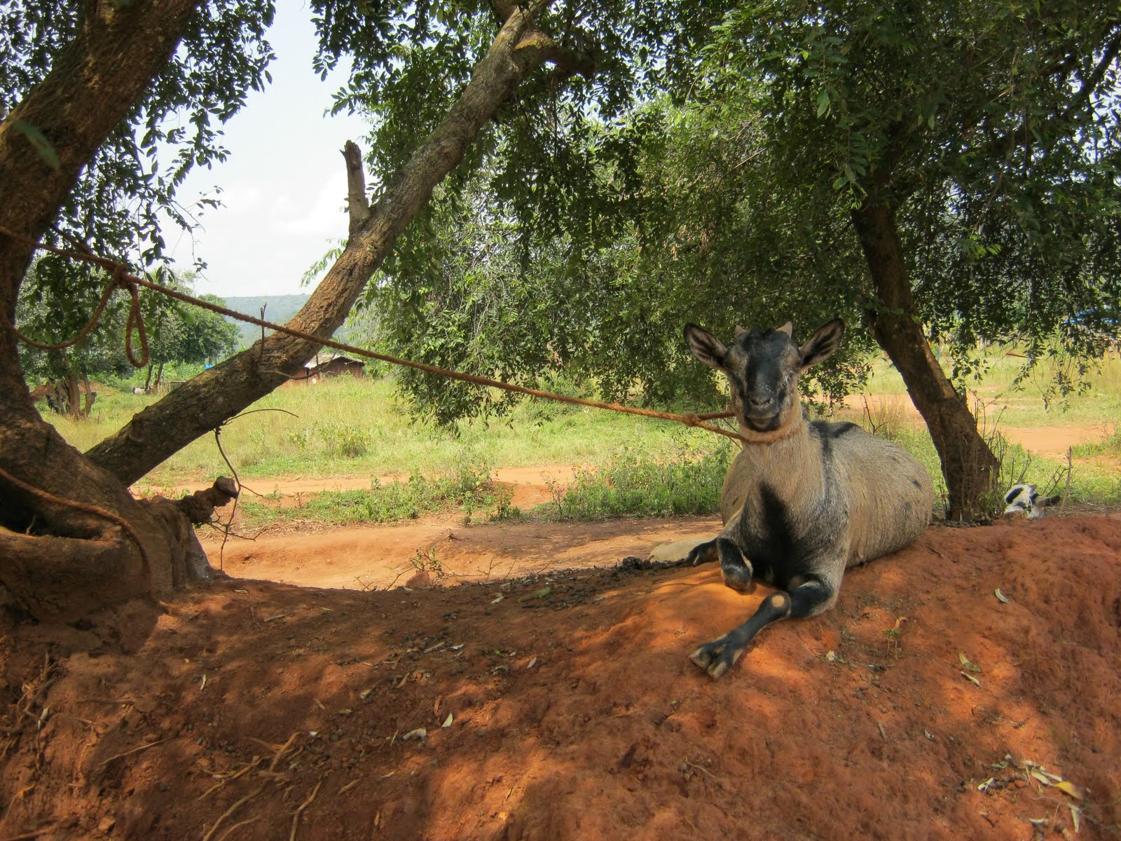 Nakivale Refugee Camp in Uganda: A Walk into the Village of the Refugee ...