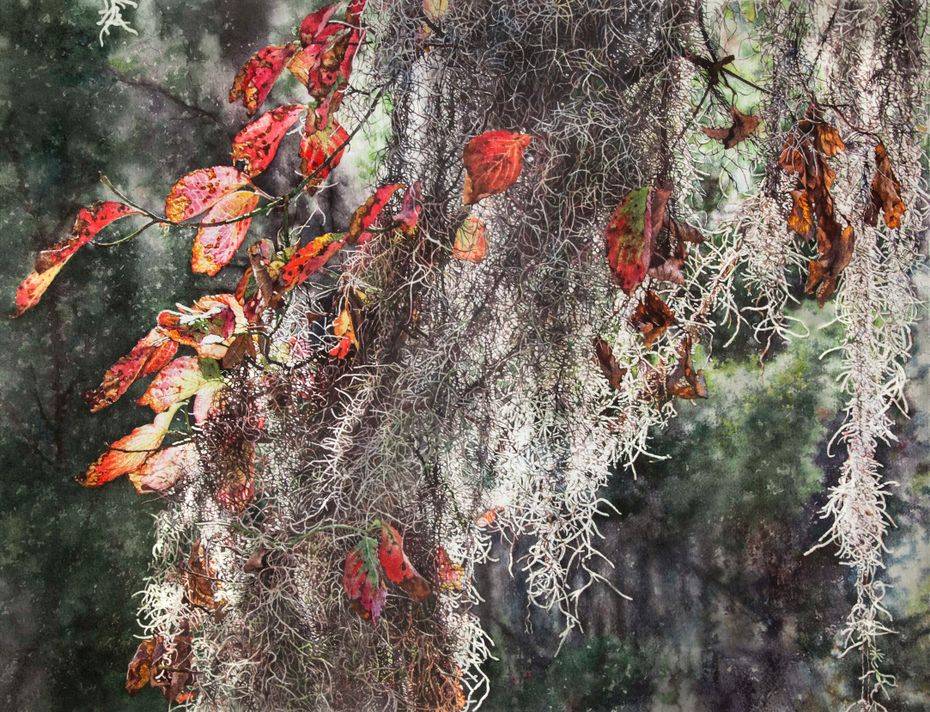 Xi GUO ~ Watercolor | Catherine La Rose ~ The Poet of Painting