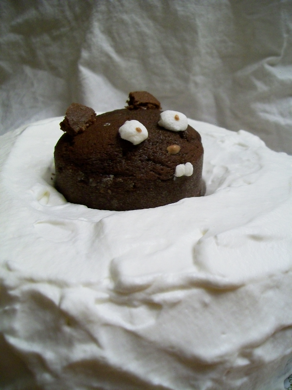 the art of Hannah C. Heyer: Groundhog's Day Cake