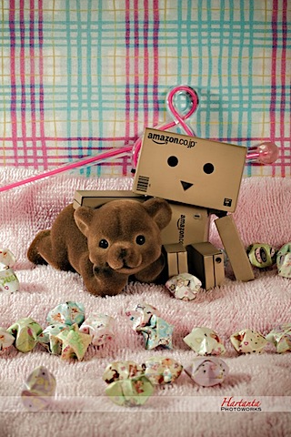 danbo doll - Berlian