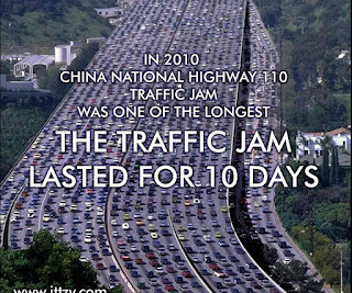 Humans: November 2015