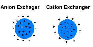 QUIMICA II: ANIONES Y CATIONES