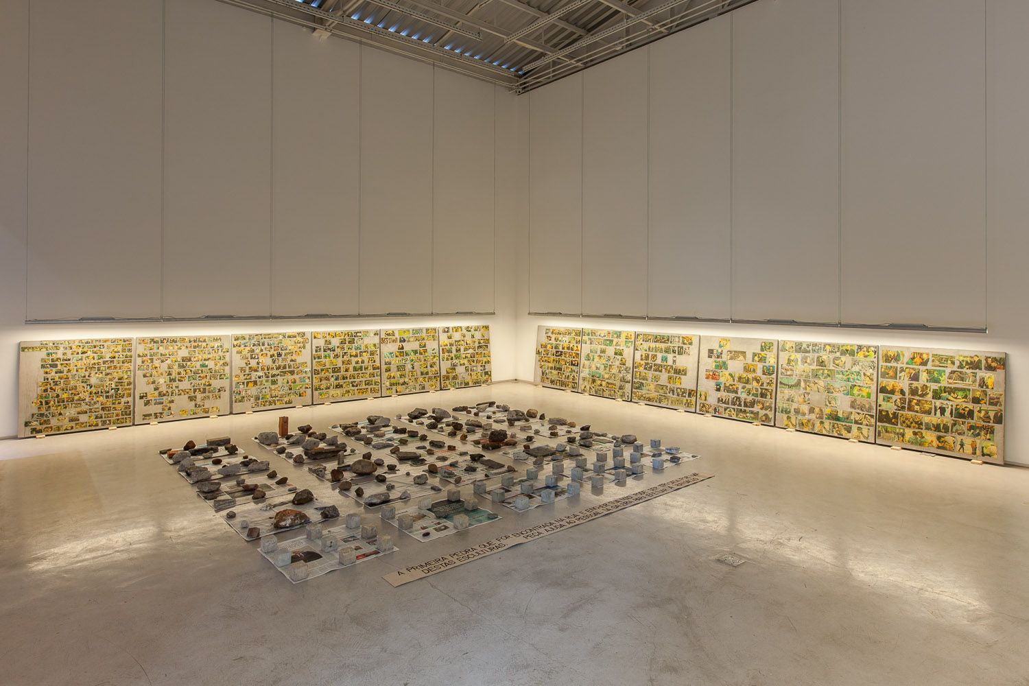 Matheus Rocha Pitta – a f a s i a