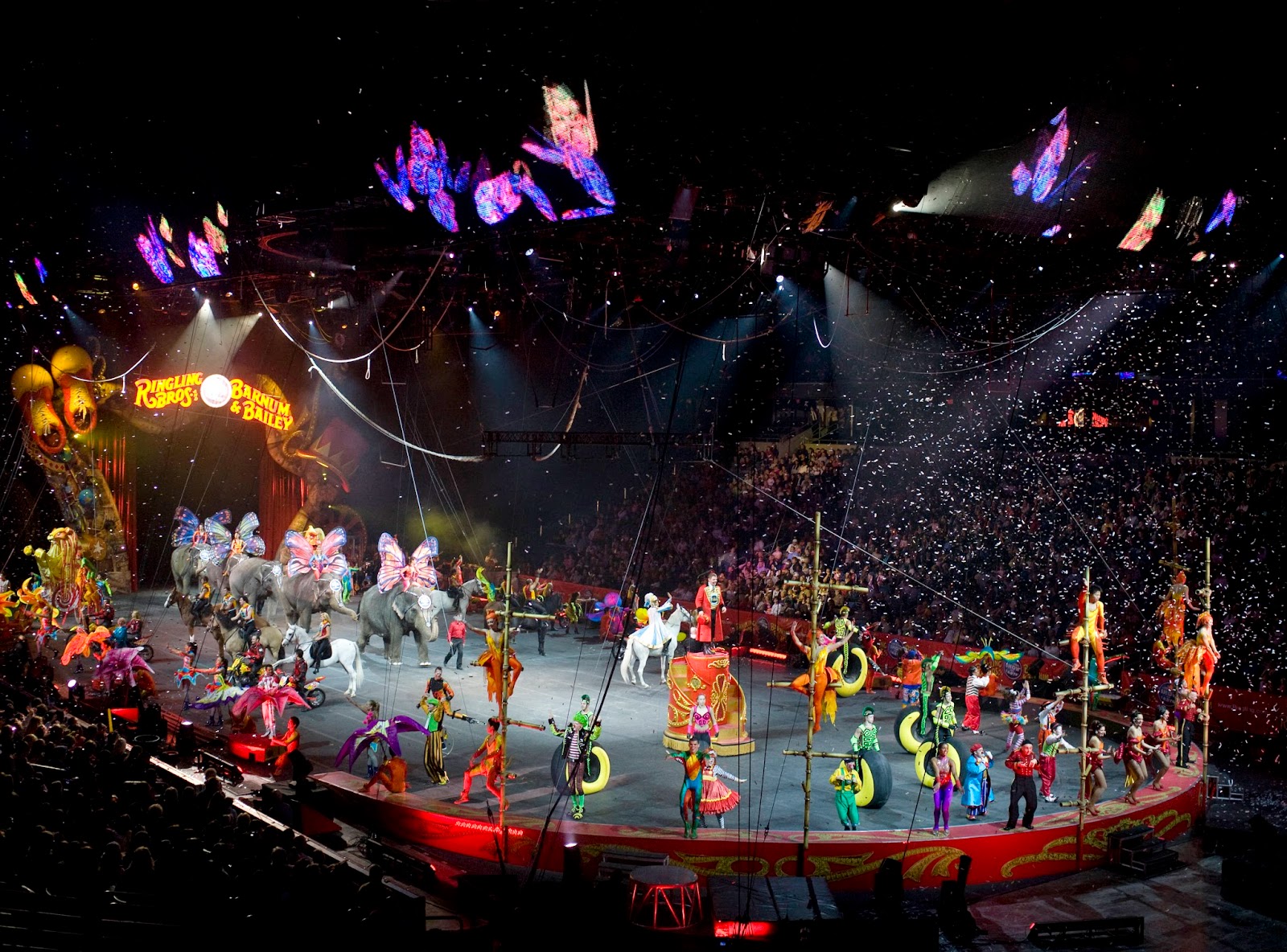 Viva Circus Festival 2014 - Art is Power | Snowman · Sharing