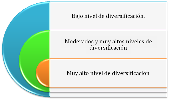 ESTRATEGIA DE DIVERSIFICACIÓN: Niveles de diversificación