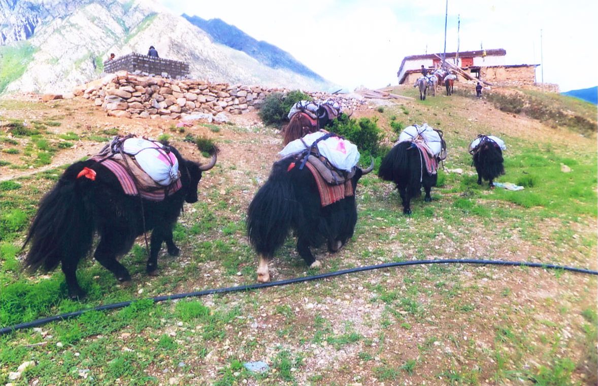 Pal Sagon Dhungkar Choezom Monastery: LATEST UPDATES