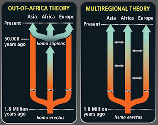Ramblings : Denisovans and Depilation: New Thoughts On Modern Human ...