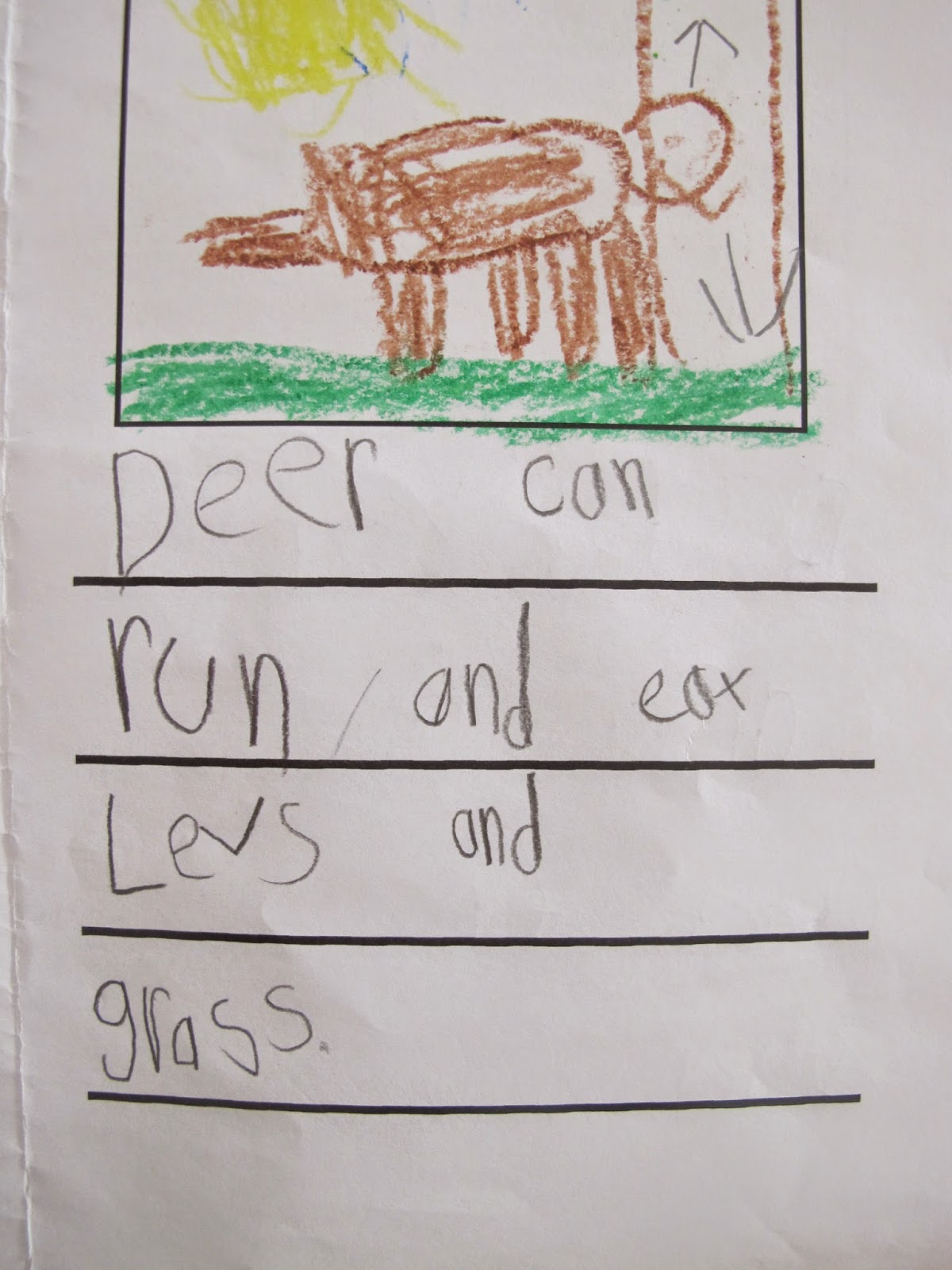 Kindergarten is Sweet: Science and Writing: Deer