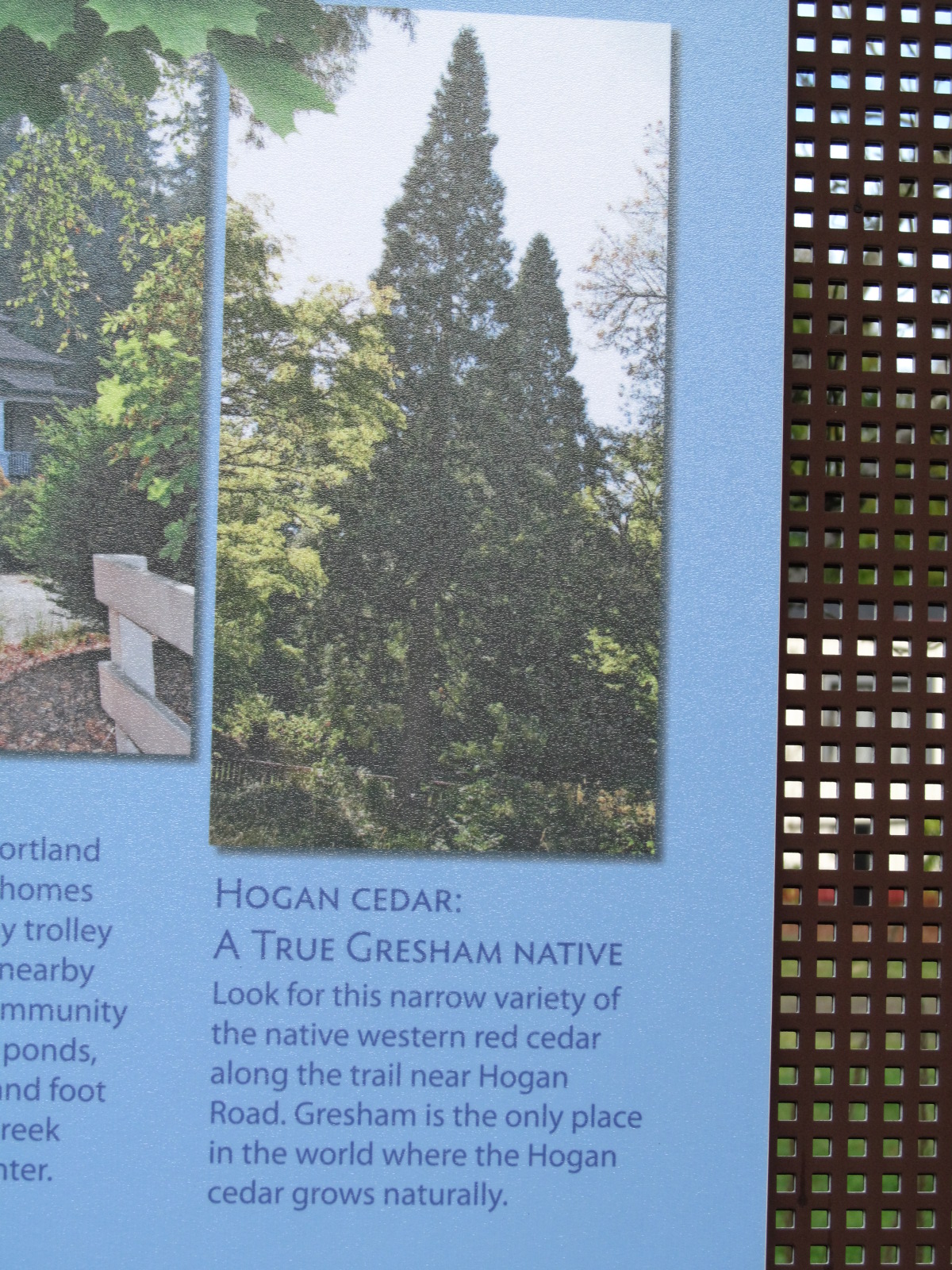 Bike Dreams: A Boring Ride