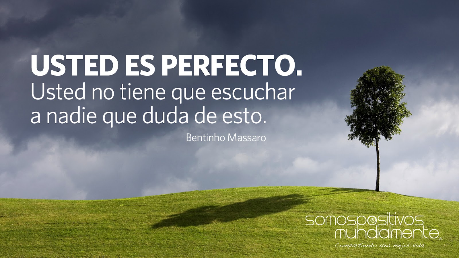 Usted es Perfecto