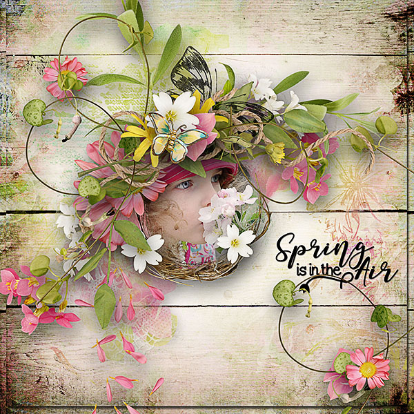 Palvinka Designs: Spring In Bloom and Freebie
