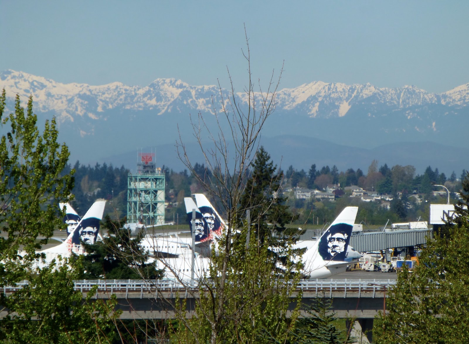 Flight To Success: SeaTac Washington