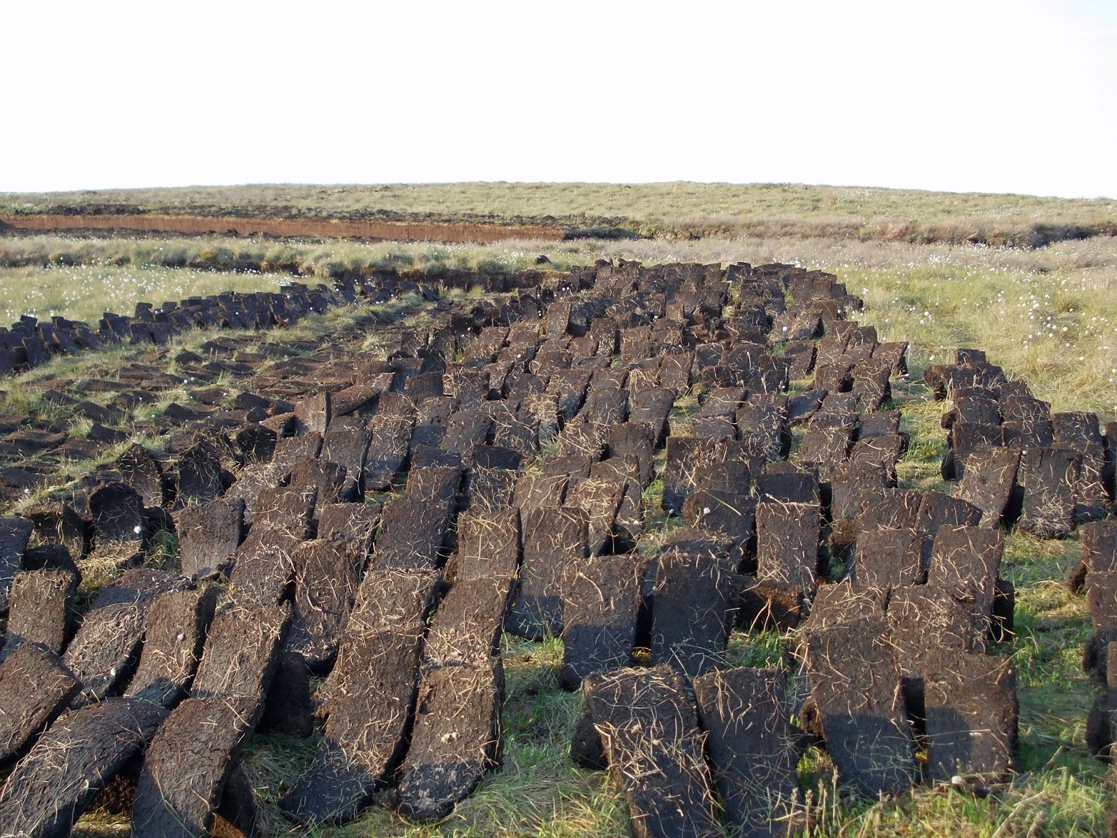 Dumfries and Galloway: A Regional Ethnology: Peat Cutting on Middlemoss ...