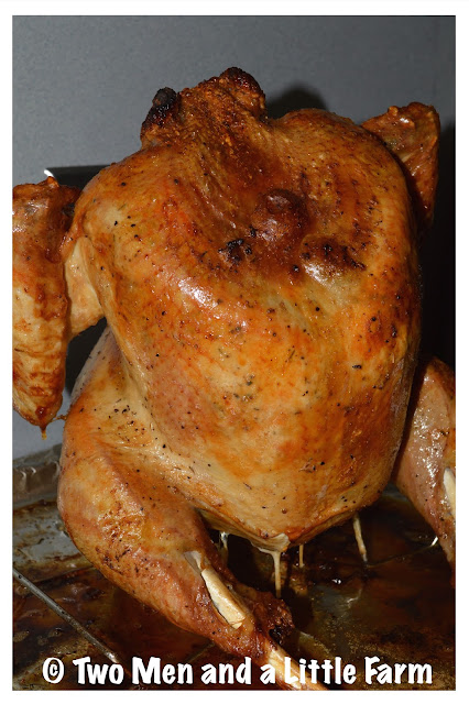 Two Men and a Little Farm: OVERSTUFFED TURKEYS