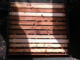 The Hivemind and Me: Follower Boards