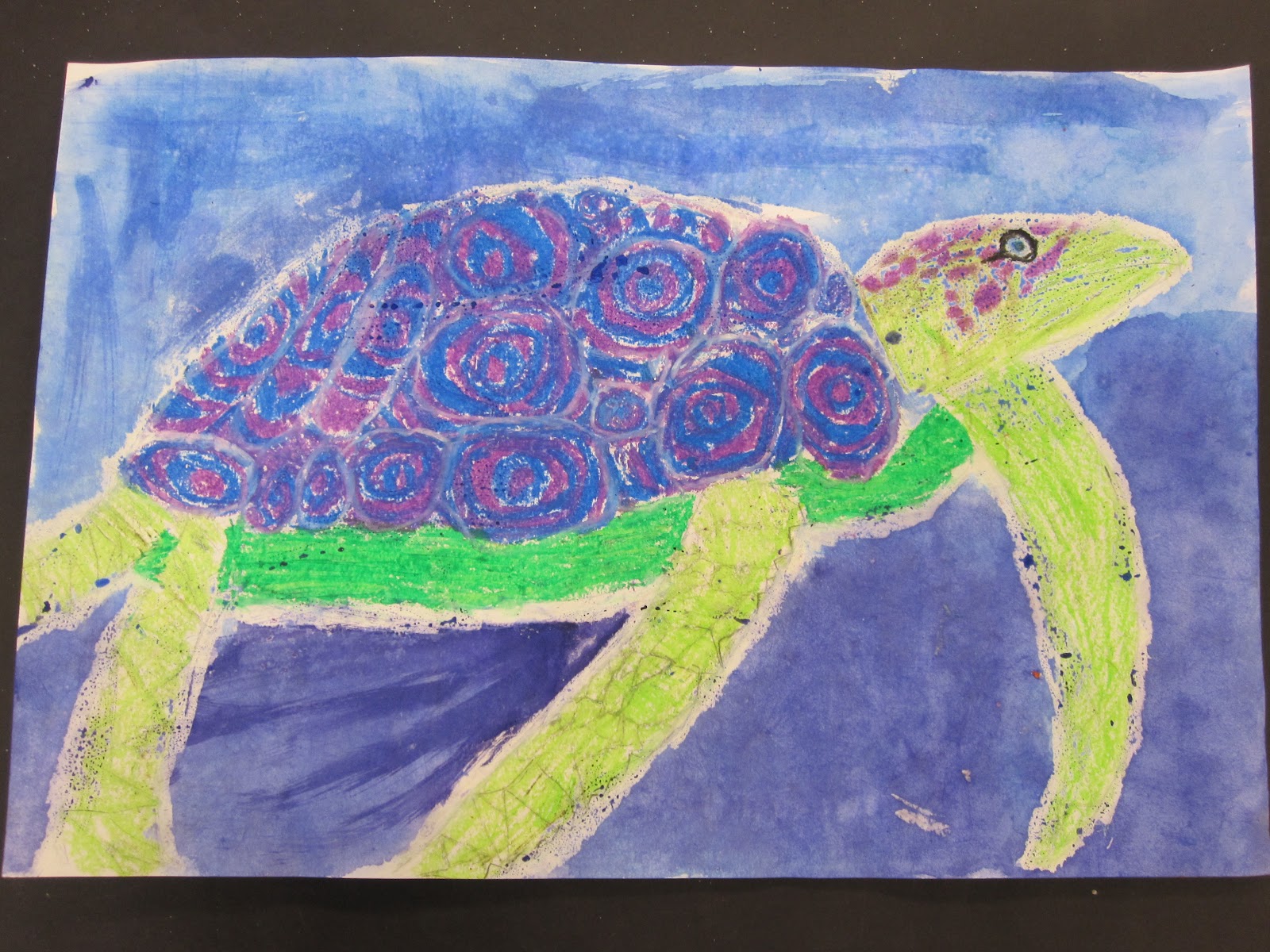 Lake and Hartville Elementary Art: Sea Turtles