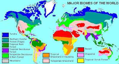 Biomes / Adaptations - Create Your Own Organism Mini-Project