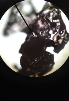 The Resourceful Teacher: Science Experiment - Pop Rocks & Soda