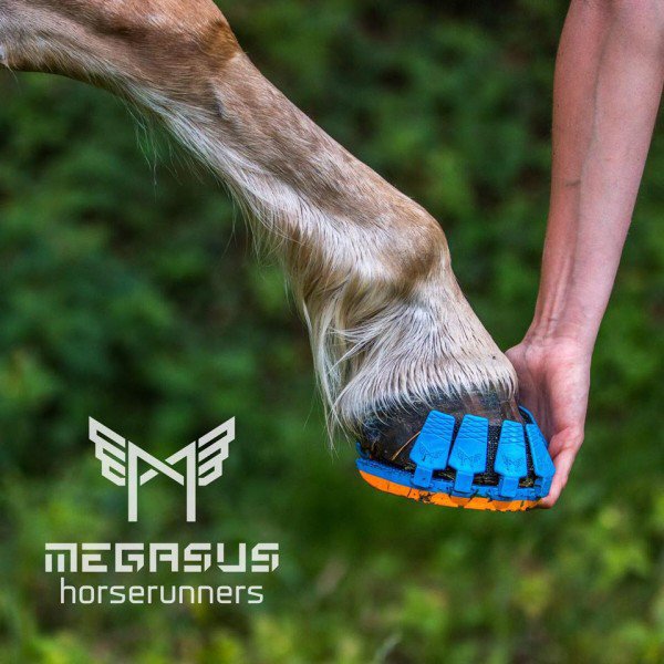 MEGASUS HORSERUNNERS, LAS PRIMERAS ZAPATILLAS PARA CABALLOS