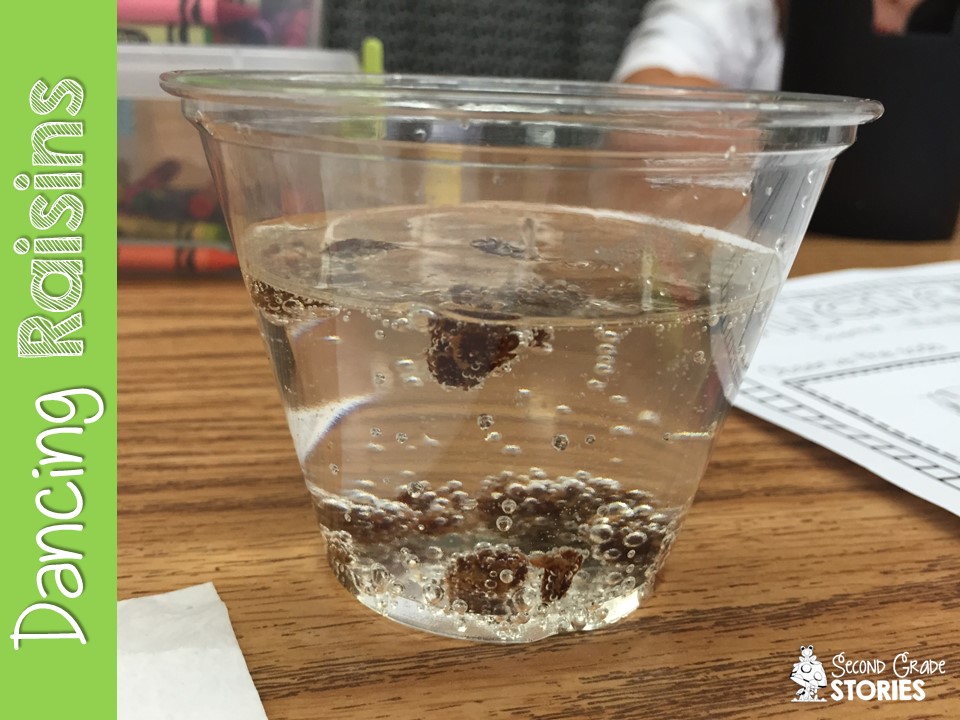 Being a Scientist - Experiment Fun! - Second Grade Stories