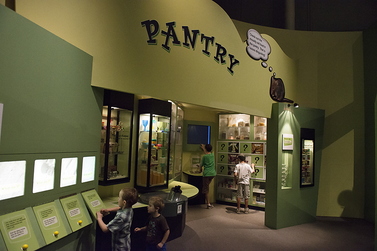 The Kings: Melbourne's Scienceworks Museum