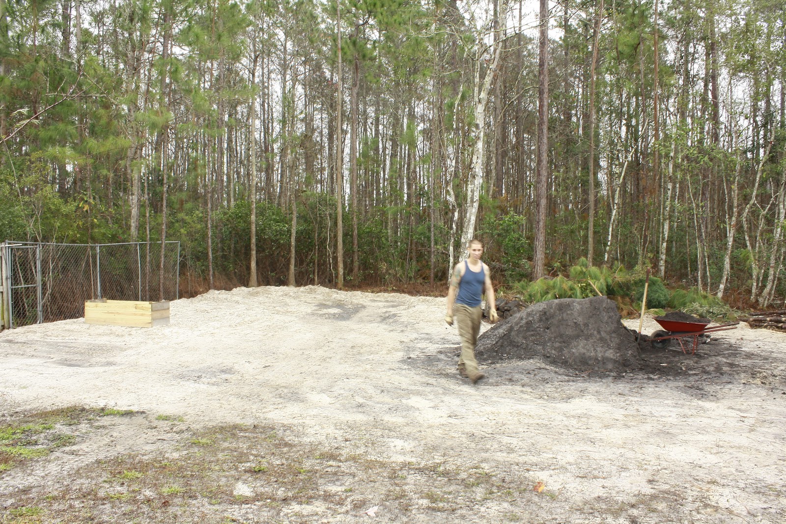 Baking in Sunshine: Make do or do without.