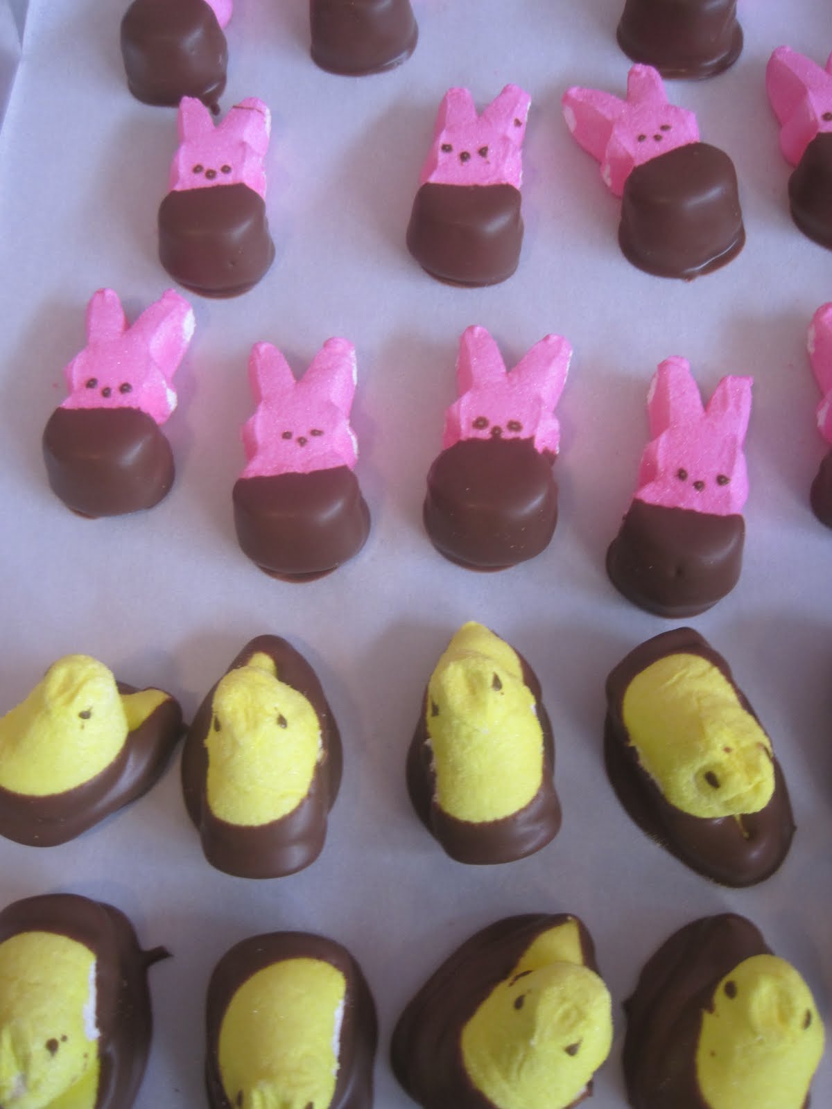 Confounded Cook Trampled At Easter Egg Hunt; No Tears Shed By Happy ...