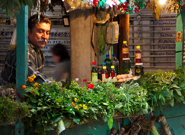 ¿Hierbero o Yerbero? ~ Macerandoando