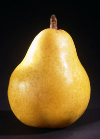 Blog 75: Recettes Limousin-Flognarde aux poires