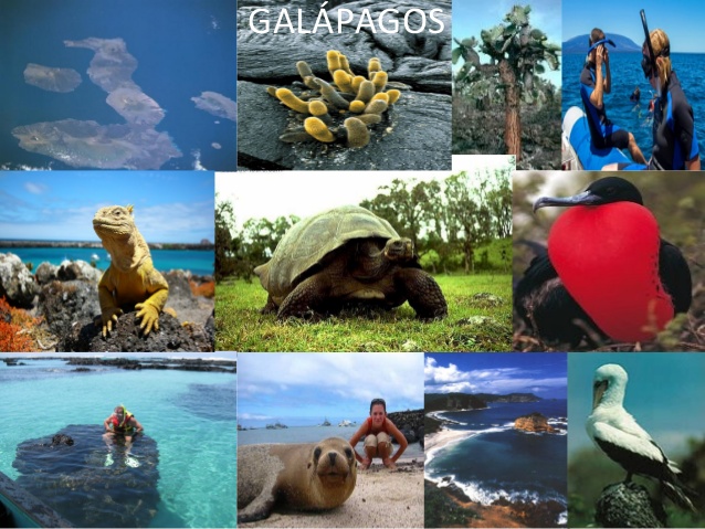 islas galapagos
