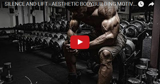 AESTHETIC BODYBUILDING MOTIVATION: SILENCE AND LIFT - AESTHETIC ...