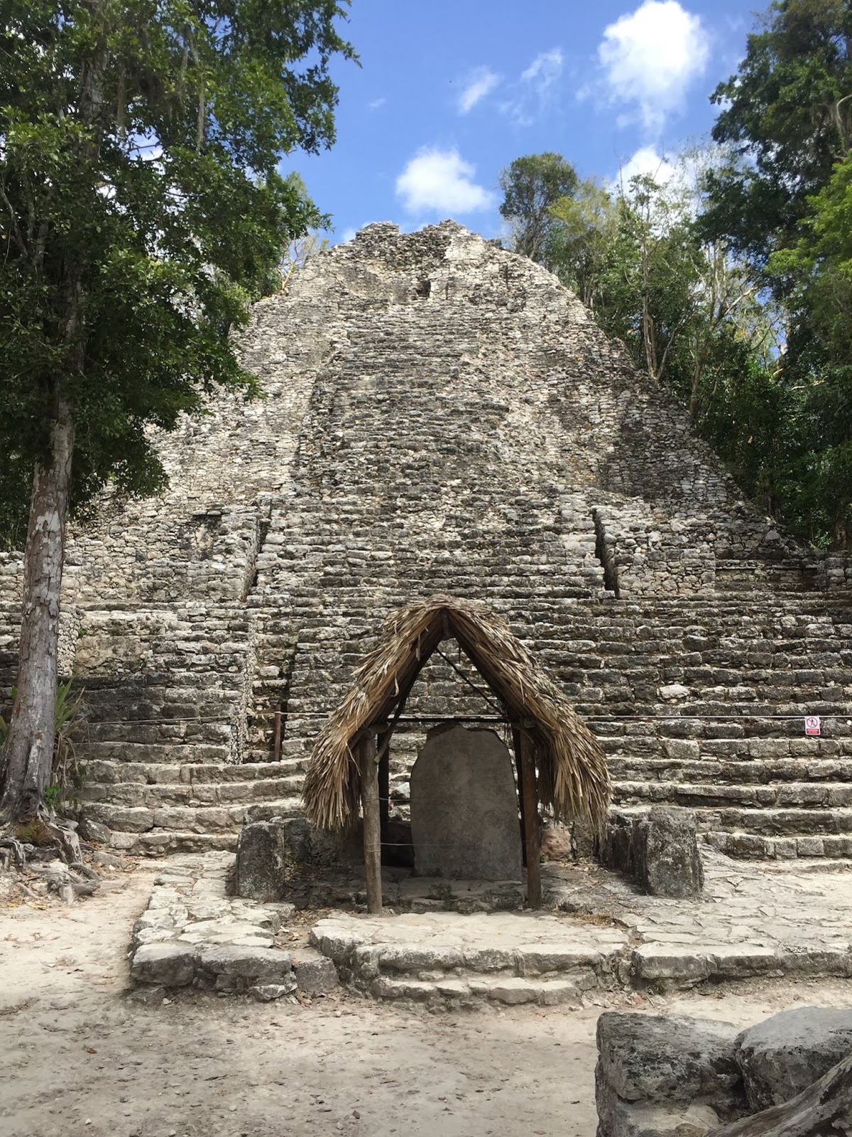 McNeilly Family Blog: Adults ONLY trip to Rivera Maya, Mexico