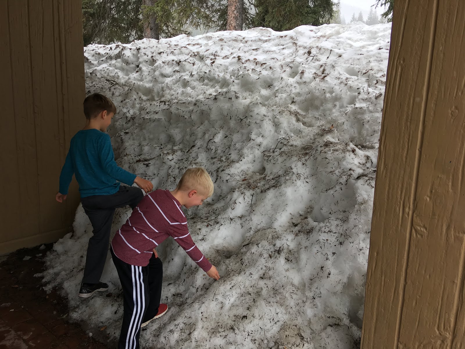 From Gaijin to Gringo to Granola