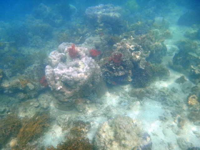 Our WANDERful JouRnEy!: Exquisite Islands of Honda Bay Palawan