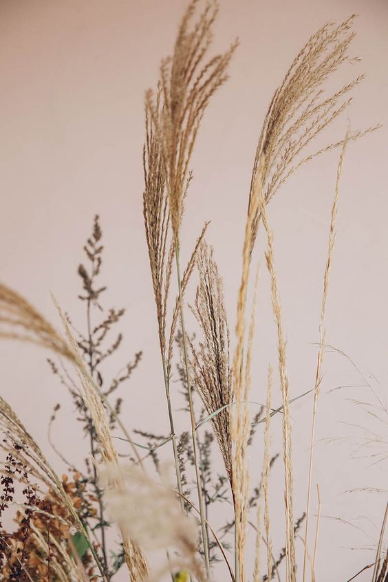 Thistle Harvest: Color Crush: Rust