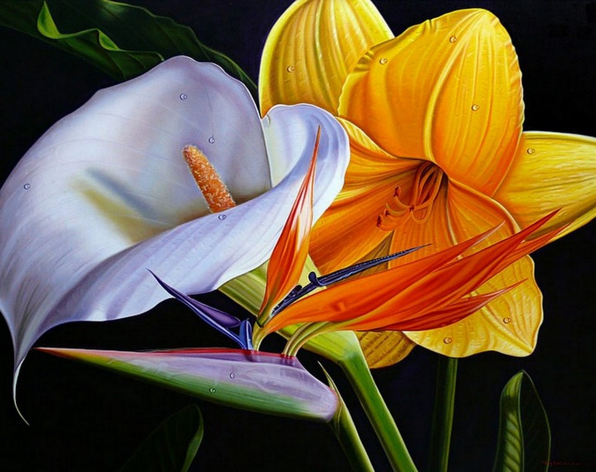 El arte es su máxima expresión : Flores Óleo Sobre Lienzo El arte es su máxima expresión : Flores Óleo Sobre Lienzo