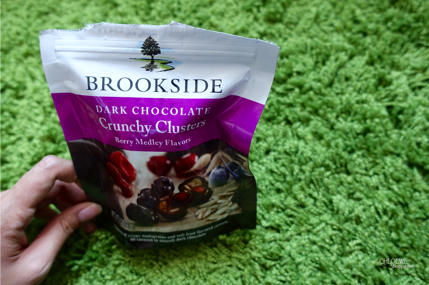 Chloe WL: Brookside Dark Chocolate Crunchy Clusters [Review]
