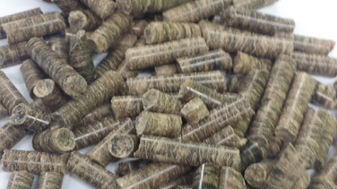 Biomass Industrial Innovative Projects: Catching Up the Great ...