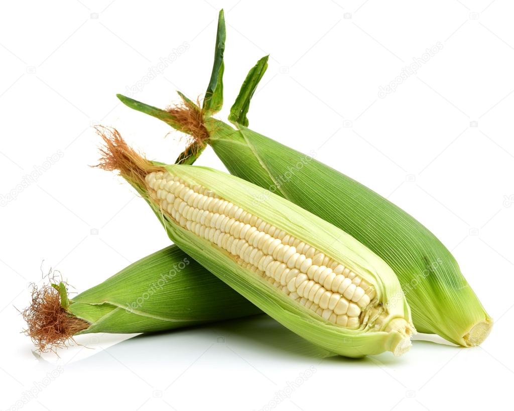 francisco lavin: LAS MAZORCAS