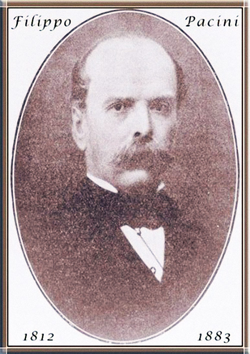 QUARRATA/news - QUOTIDIANO ON LINE: FILIPPO PACINI, GRANDE SCIENZIATO E ...